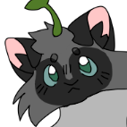 kitty creator (猫メーカー)