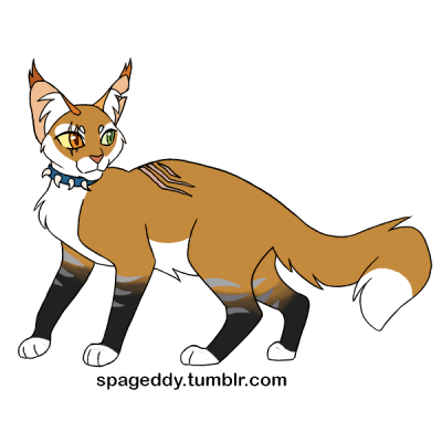 Furry maker | Picrew - The Character Maker & Creator