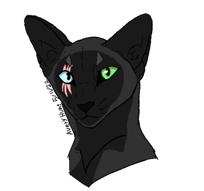 Create An Oriental Shorthair | Picrew - The Character Maker & Creator