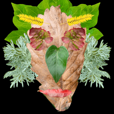 Nature Faces | Picrew - The Character Maker & Creator