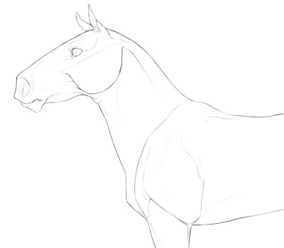 Realistic Horse Maker | Picrew - The Character Maker & Creator