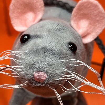 Rat Dolls! Madcap Menagerie | Picrew - The Character Maker & Creator