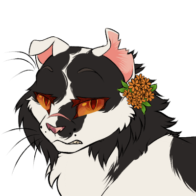 Skelo's cat maker | Picrew - The Character Maker & Creator