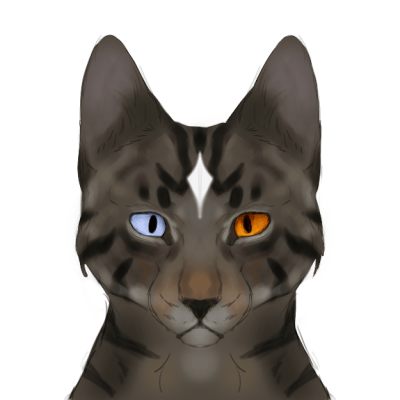 Kris's genetic cat maker | Picrew - The Character Maker & Creator