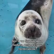 Yippee | Picrew - The Character Maker & Creator