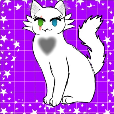 Cat | Picrew - つくってあそべる画像メーカー