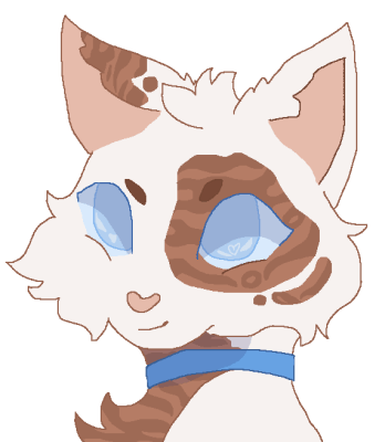 WIP - Cat Maker | Picrew - つくってあそべる画像メーカー