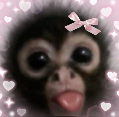 Monkey maker :3 | Picrew - The Character Maker & Creator