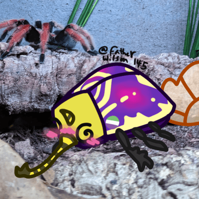 Beetle maker | Picrew - つくってあそべる画像メーカー