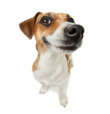 Cool dress up! | Picrew - The Character Maker & Creator