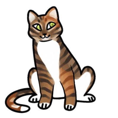 kittycat maker (wip)