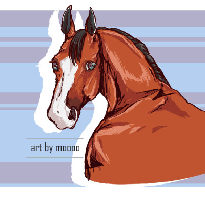 horse 1 | Picrew - The Character Maker & Creator