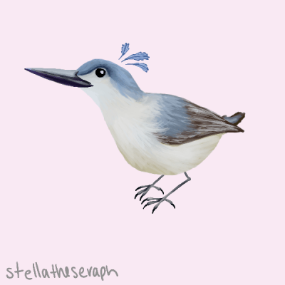 birb | Picrew - The Character Maker & Creator