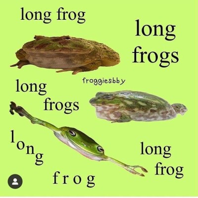 derp frog ☆*: | Picrew - The Character Maker & Creator